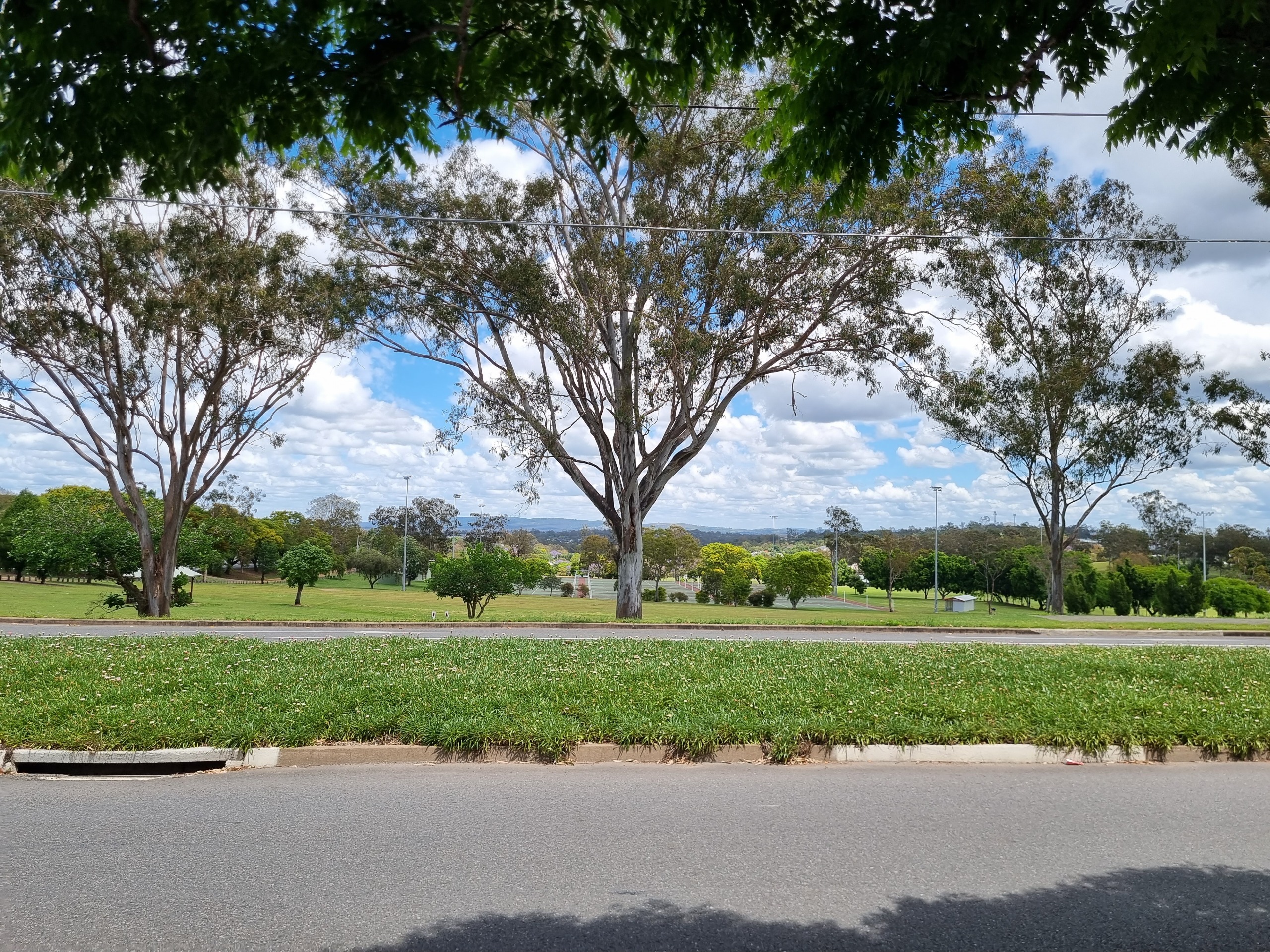 Limestone Park - What is happening? | Shape Your Ipswich